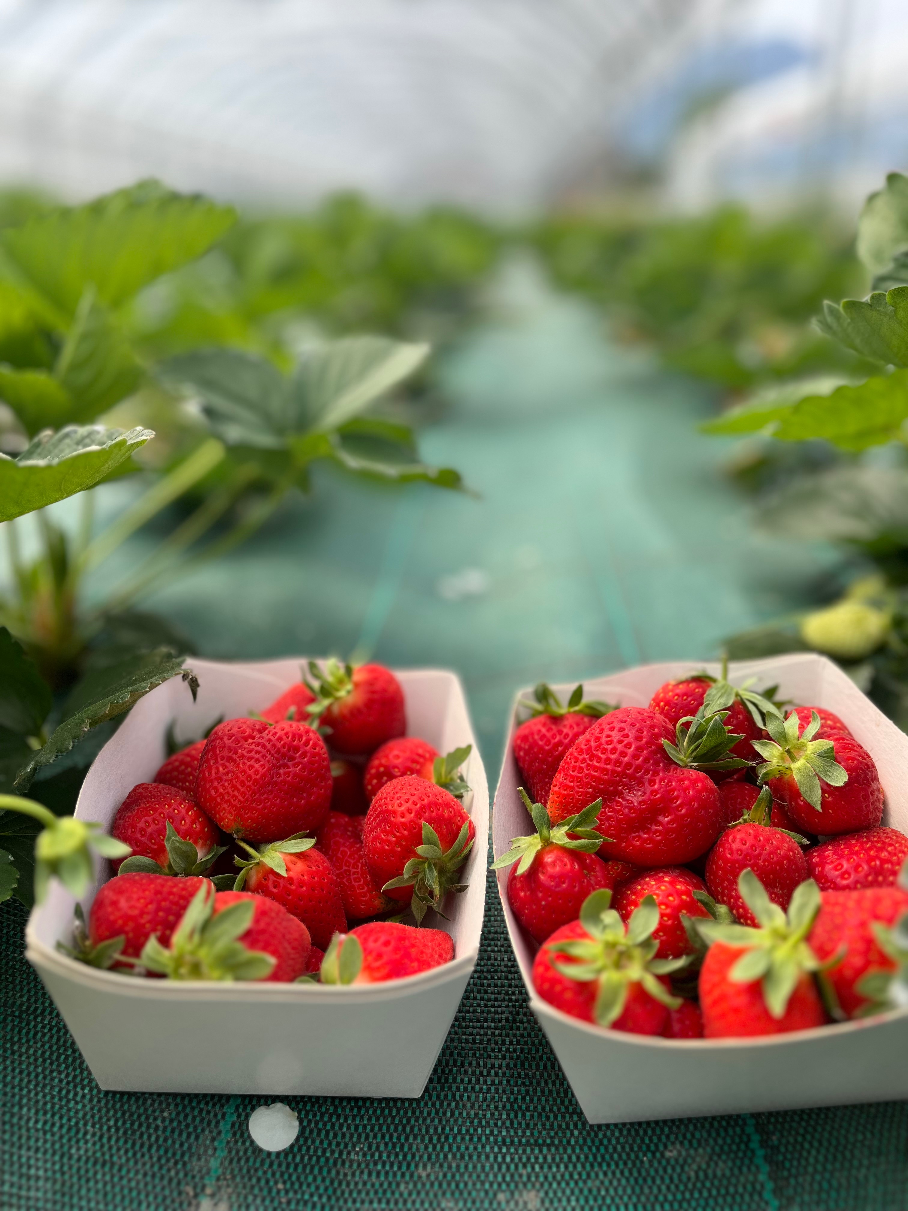 La Ferme des Trois Vallées - Découvrez mes produits et passez commande ...